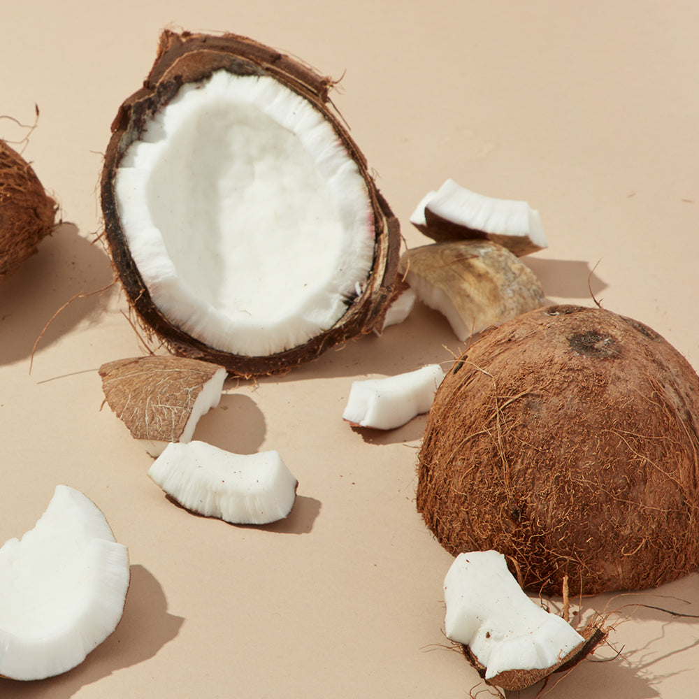 Ingredient Spotlight: Coconut Extract – Mario Badescu